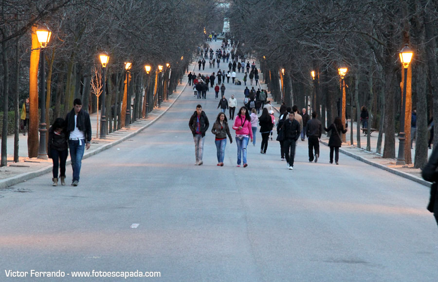 Parque del Retiro al atardecer, algo imprescindible que ver en Madrid